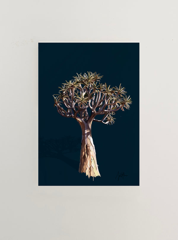 Aloe Tree – Sarch cape town studio